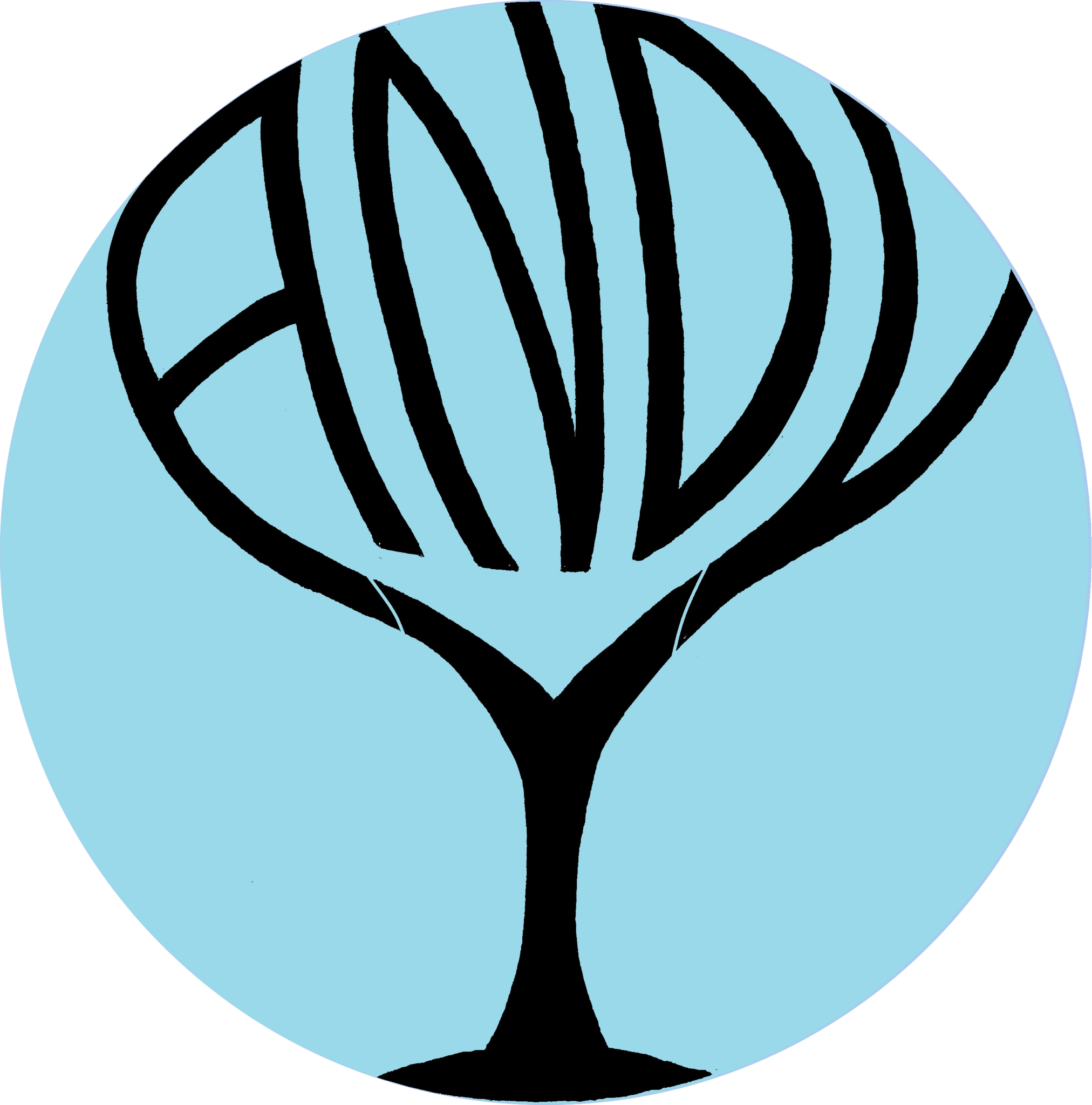 The Andy Center - CAMP ANDY Summer Treatment Program